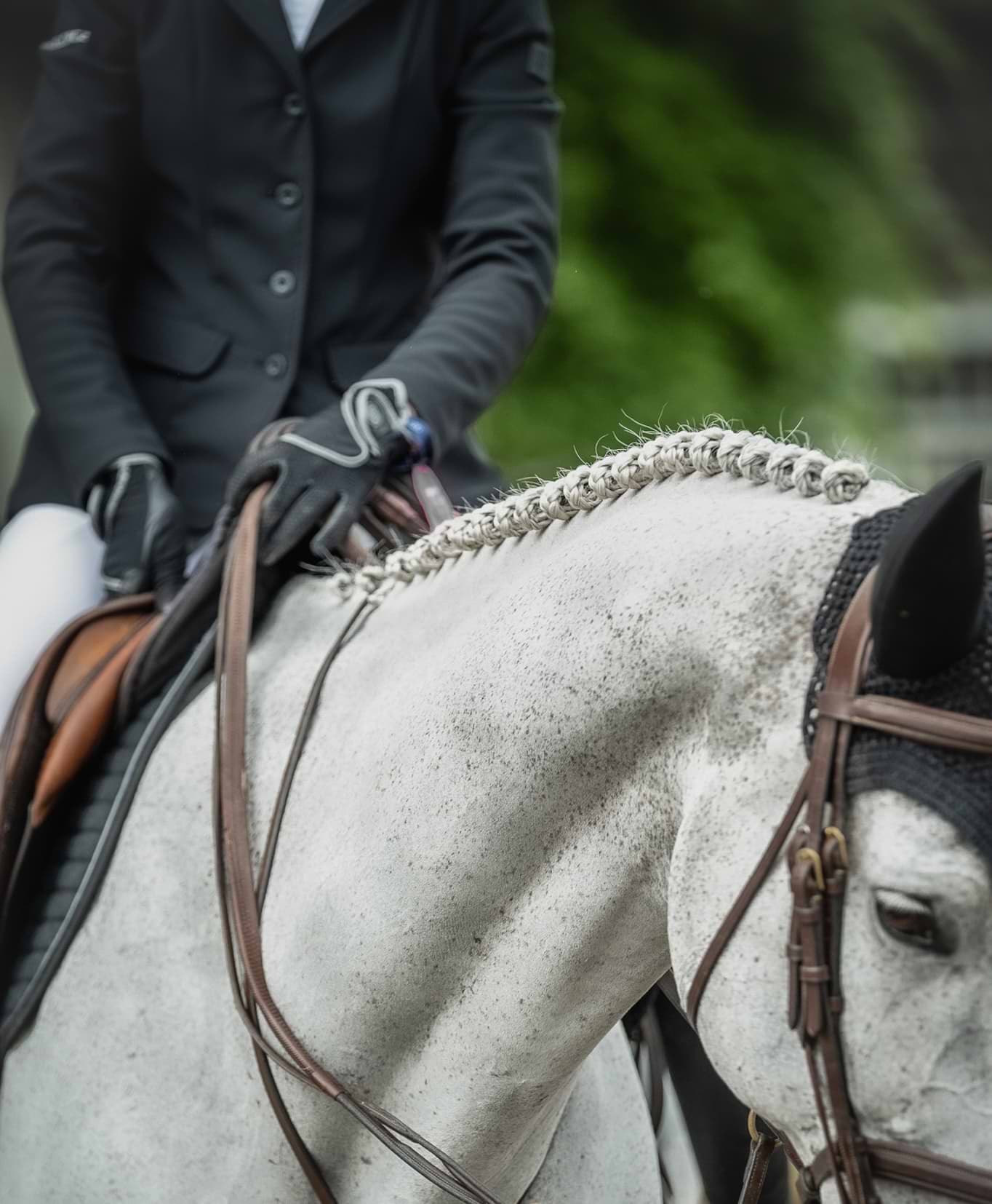 Guide: How to Braid Your Horse's Mane | Maya Delorez