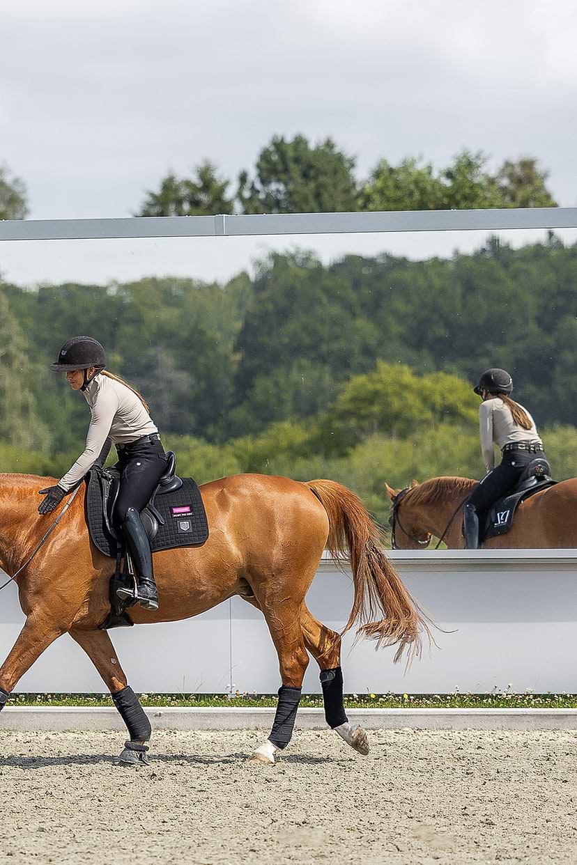 Guide: Die Hindernisse im Springreiten | Maya Delorez