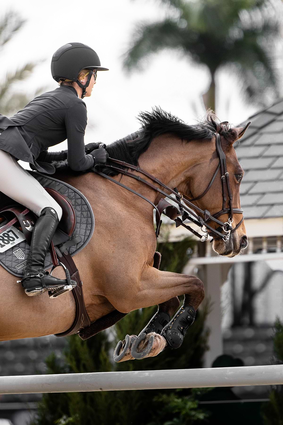 Maya Delorez | The Official Store