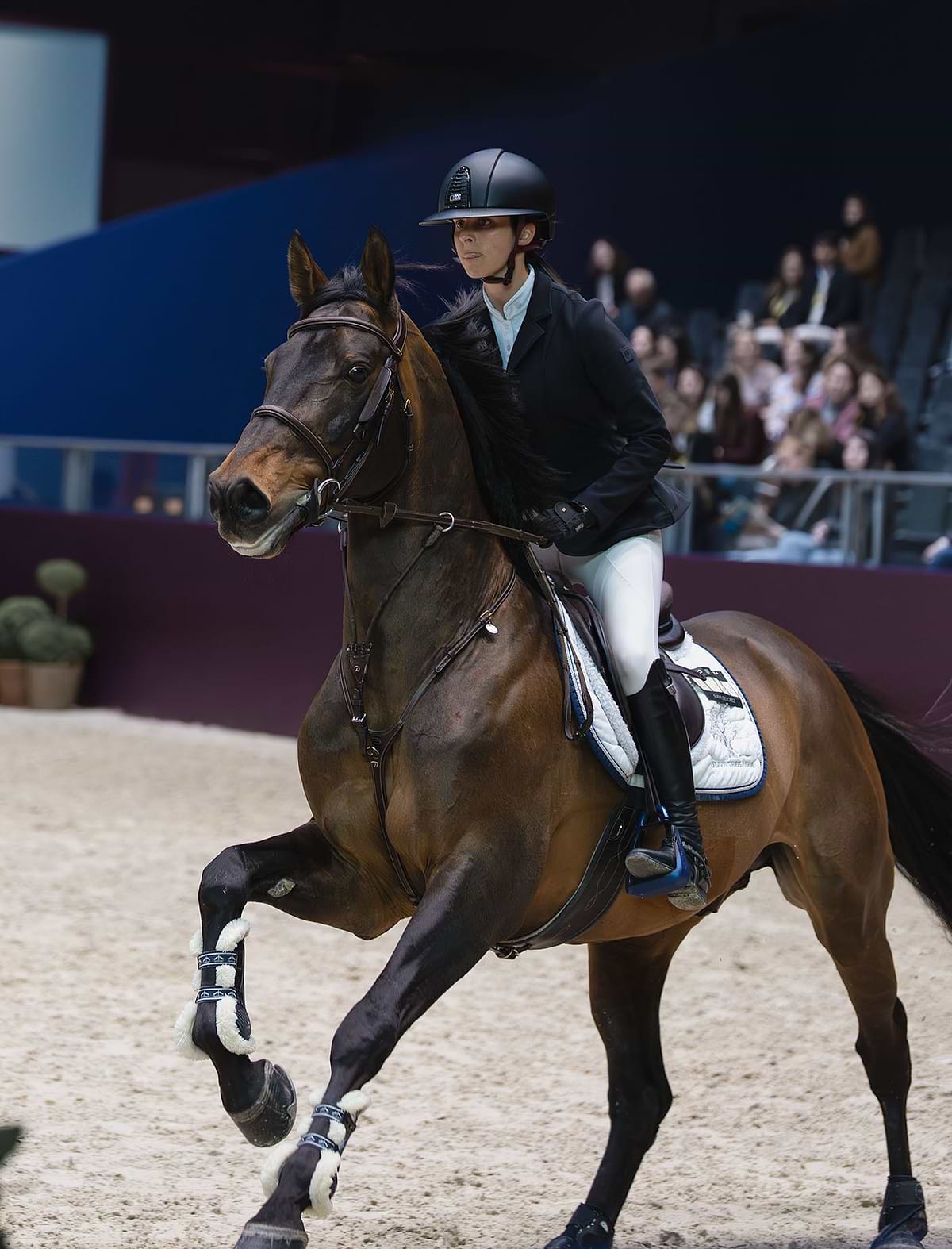Ioli Mytilineou | Tips on Goal Setting for Equestrians