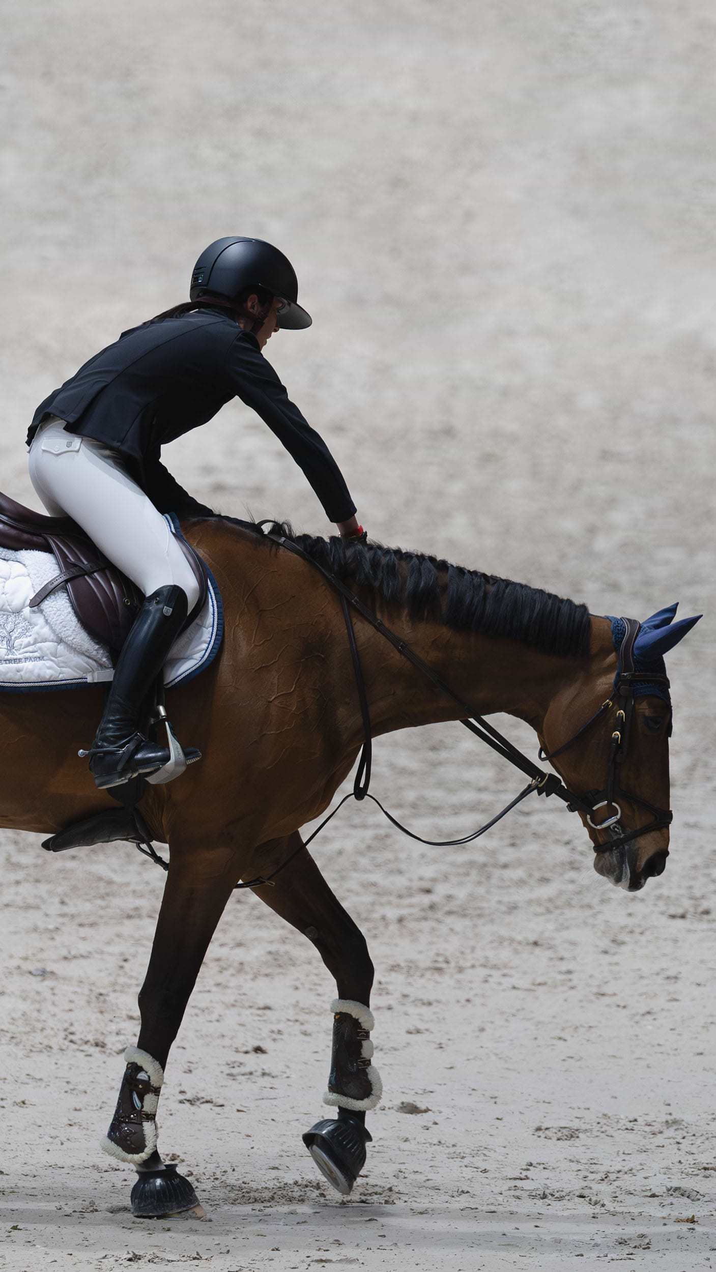 Maya Delorez | The Official Store