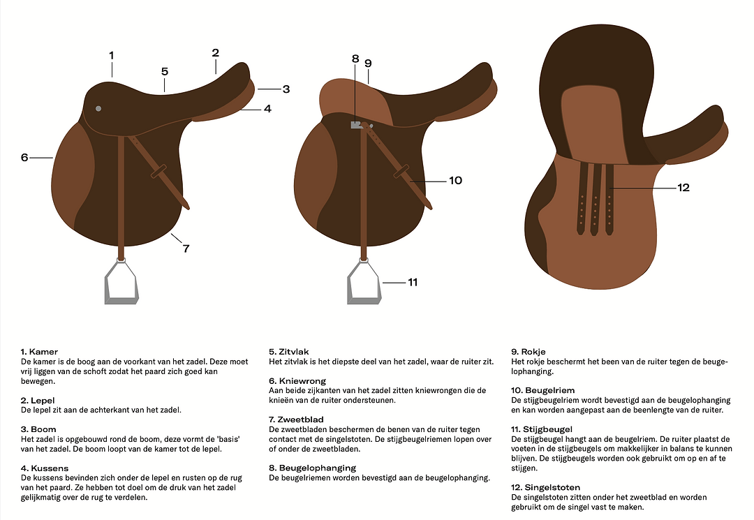 De onderdelen van het zadel | GUIDE | Maya Delorez