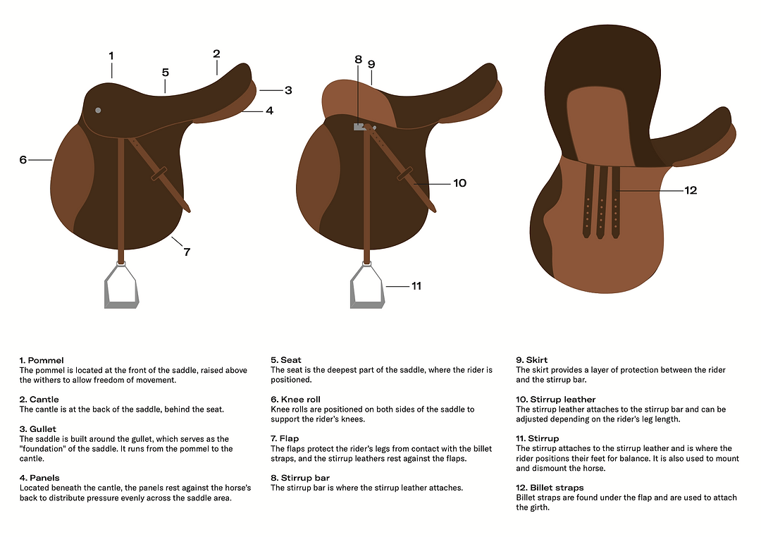 Learn the Parts of the Saddle | GUIDE | Maya Delorez