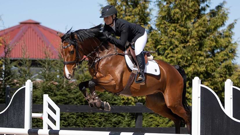 Show Jumping Distances | Ultimate Guide | Maya Delorez