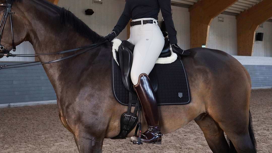 Guide: How to Choose a Saddle Pad | Maya Delorez
