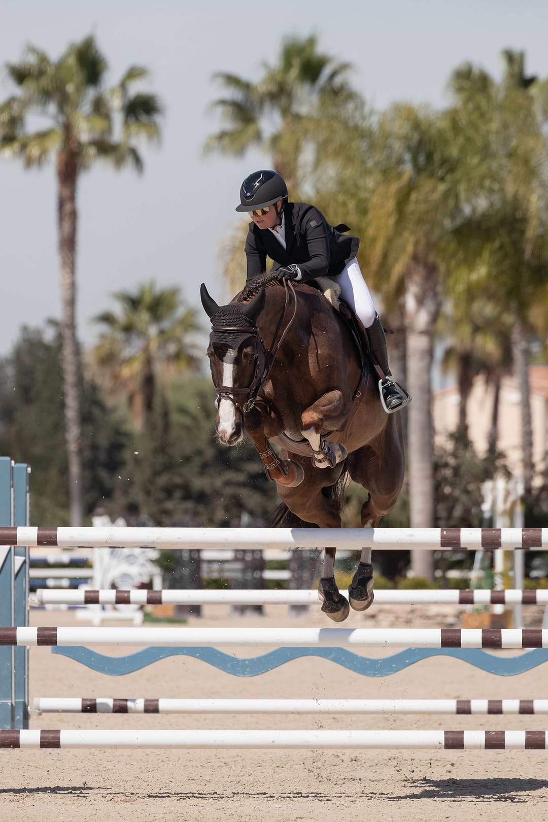 Maya Delorez | The Official Store