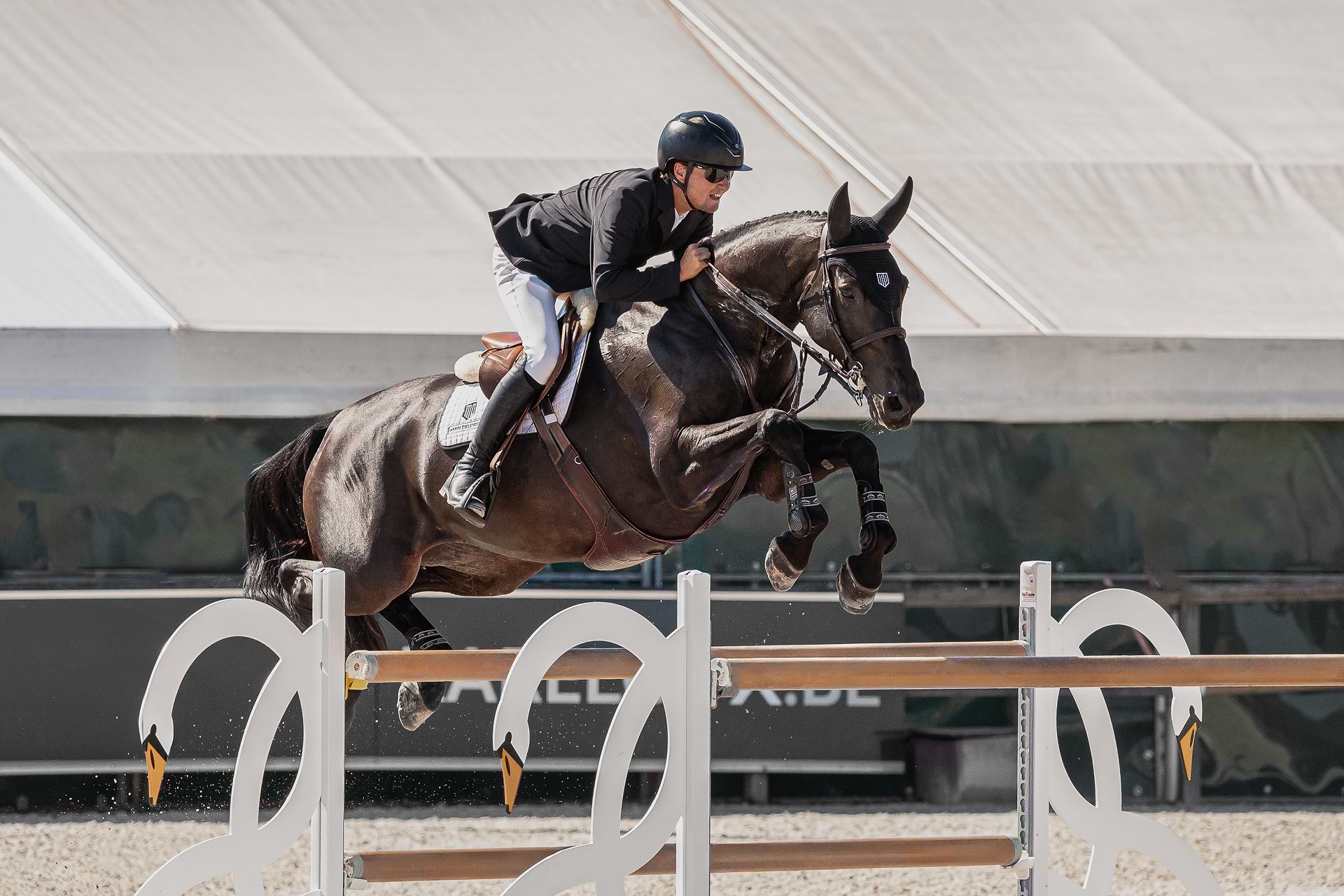 Show Jumping Distances | Ultimate Guide | Maya Delorez