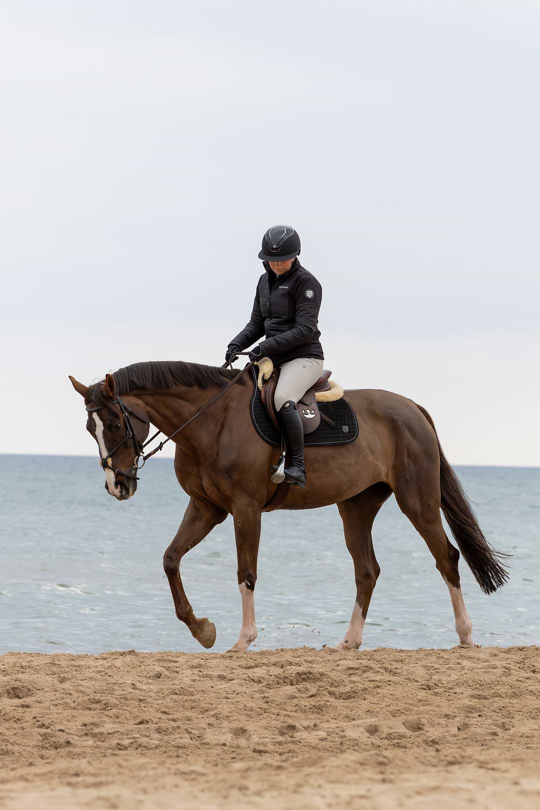 Show Jumping Distances | Ultimate Guide | Maya Delorez