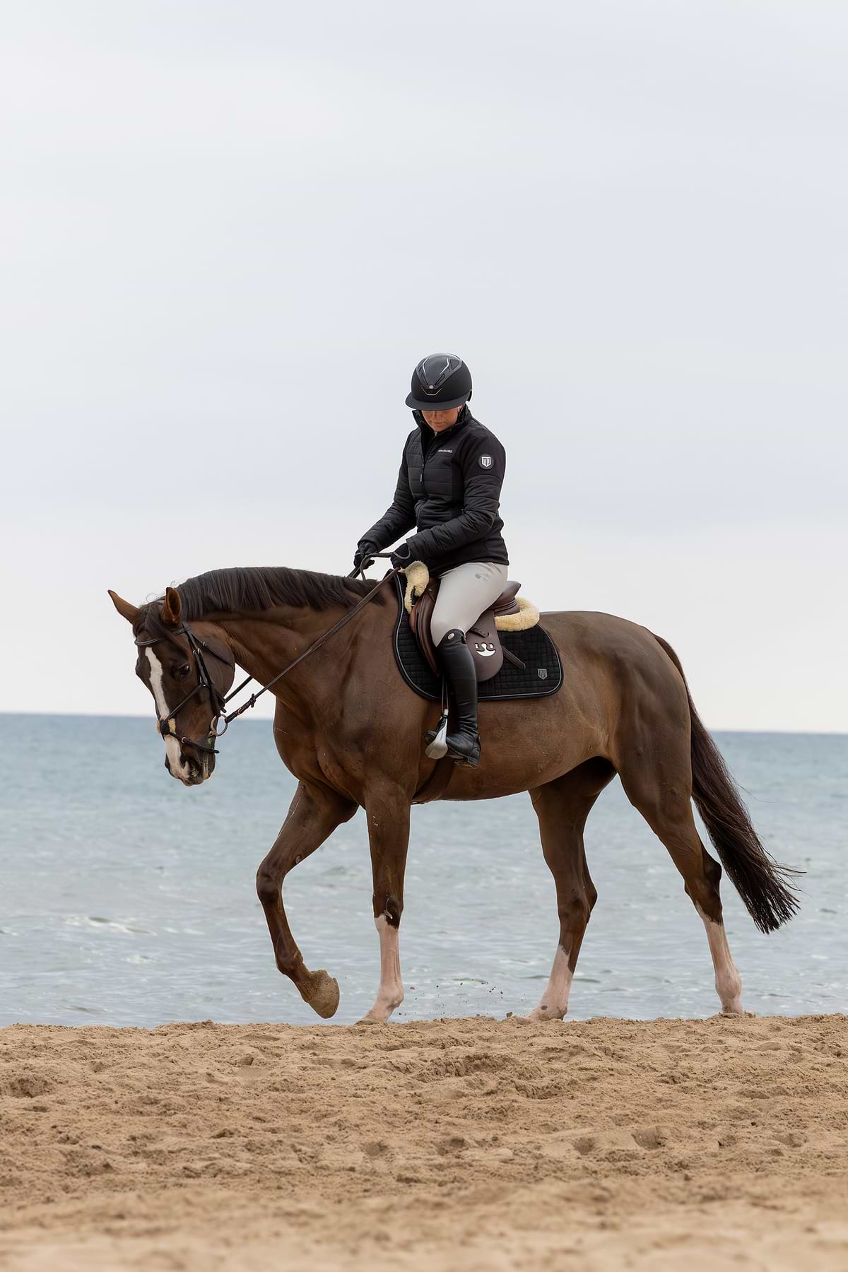 Guide: Abstände für Stangenarbeit & Springtraining | Maya Delorez