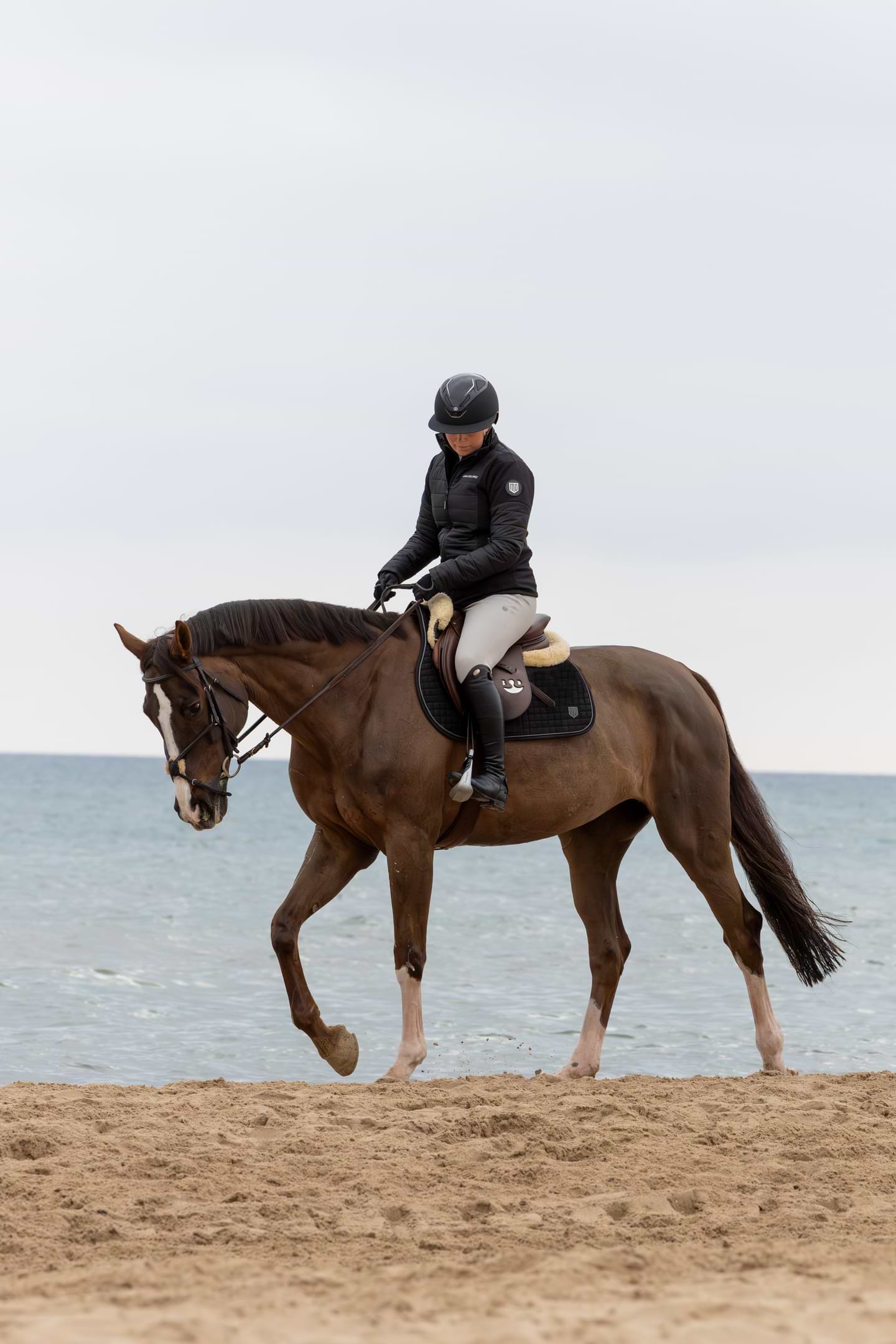 INTERVIEW: MATT HARNACKE (NEW) Get to know the Rider, Model and ...