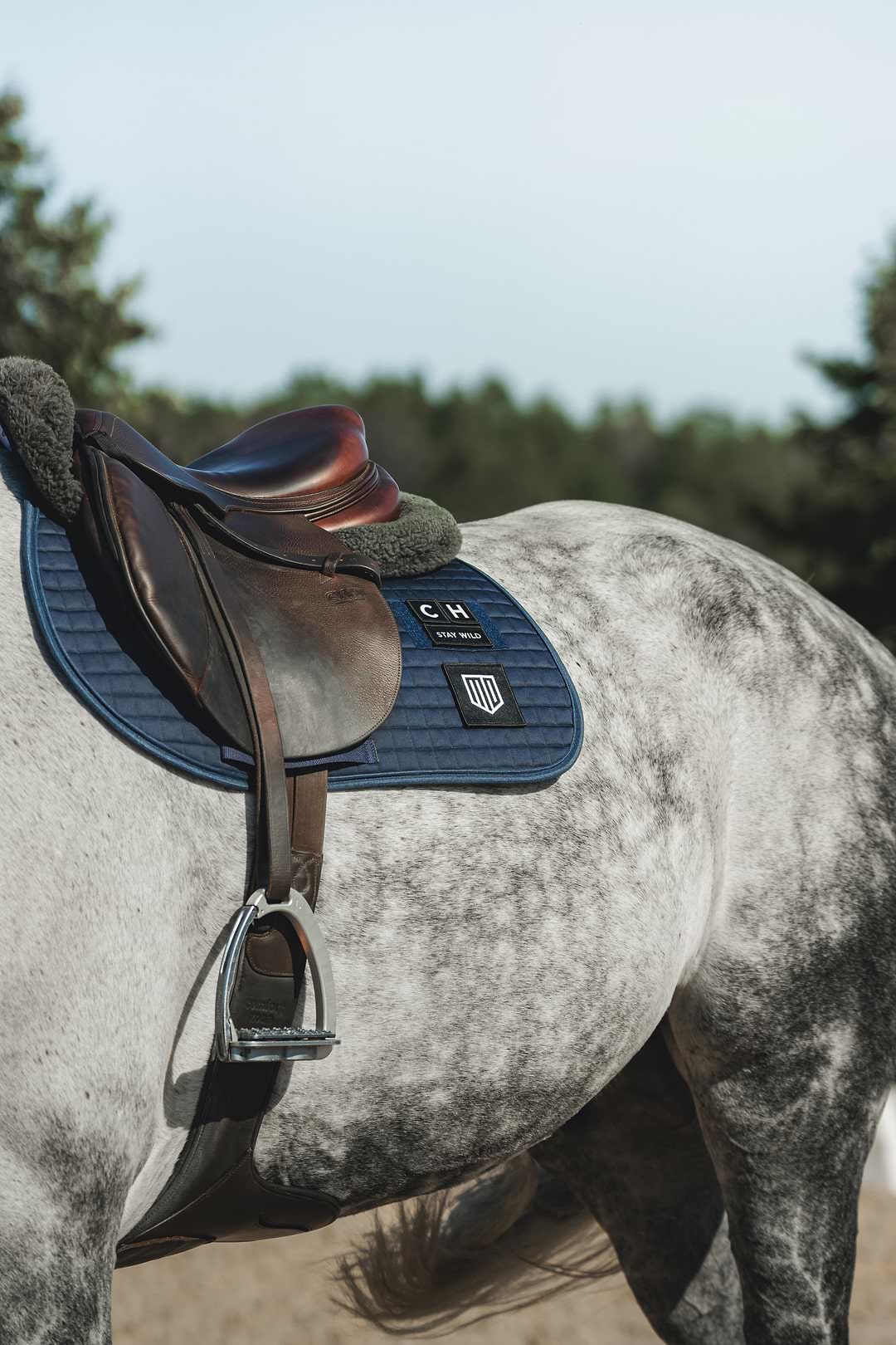 Sadelns delar | GUIDE | Maya Delorez