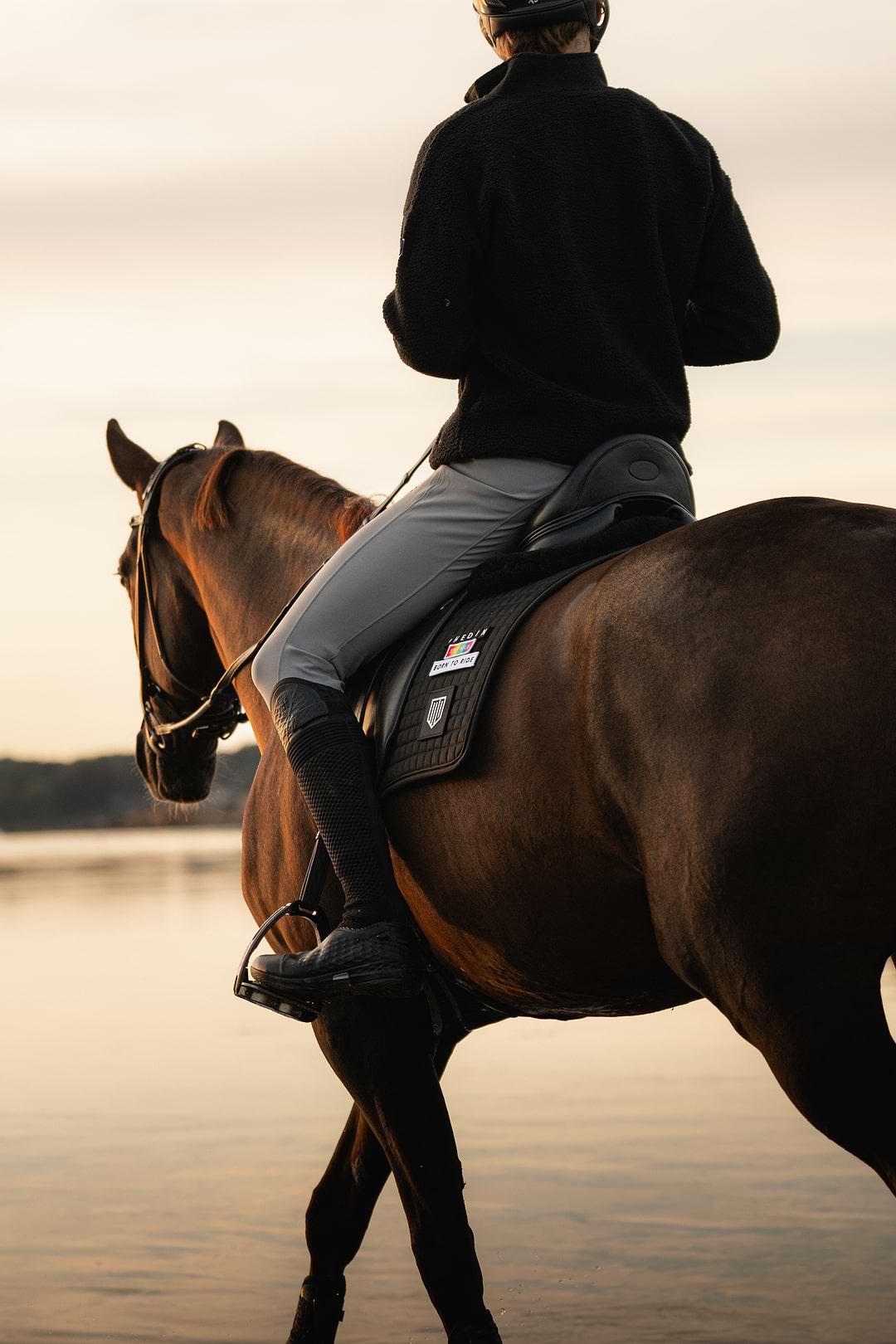 Guide: Abstände für Stangenarbeit & Springtraining | Maya Delorez