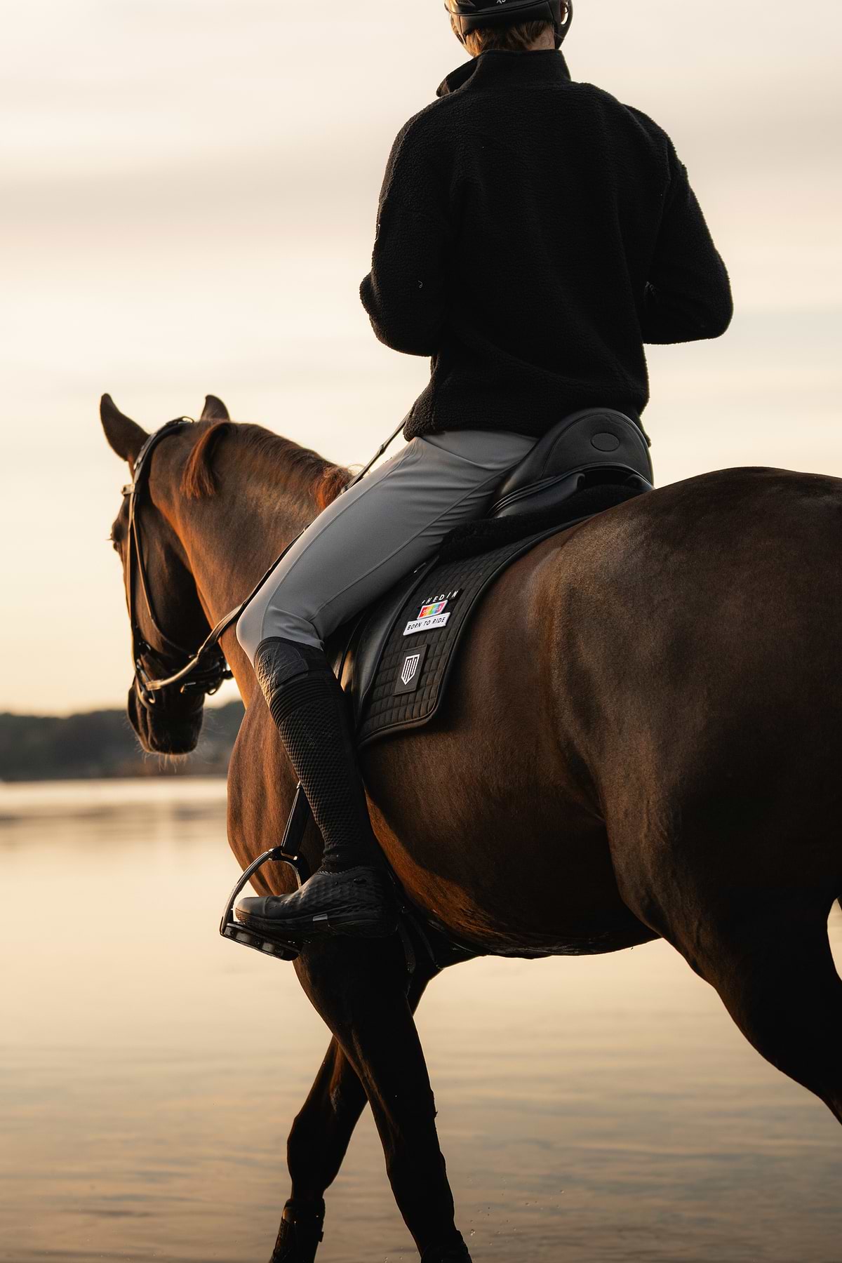 INTERVIEW: MATT HARNACKE (NEW) Get to know the Rider, Model and ...