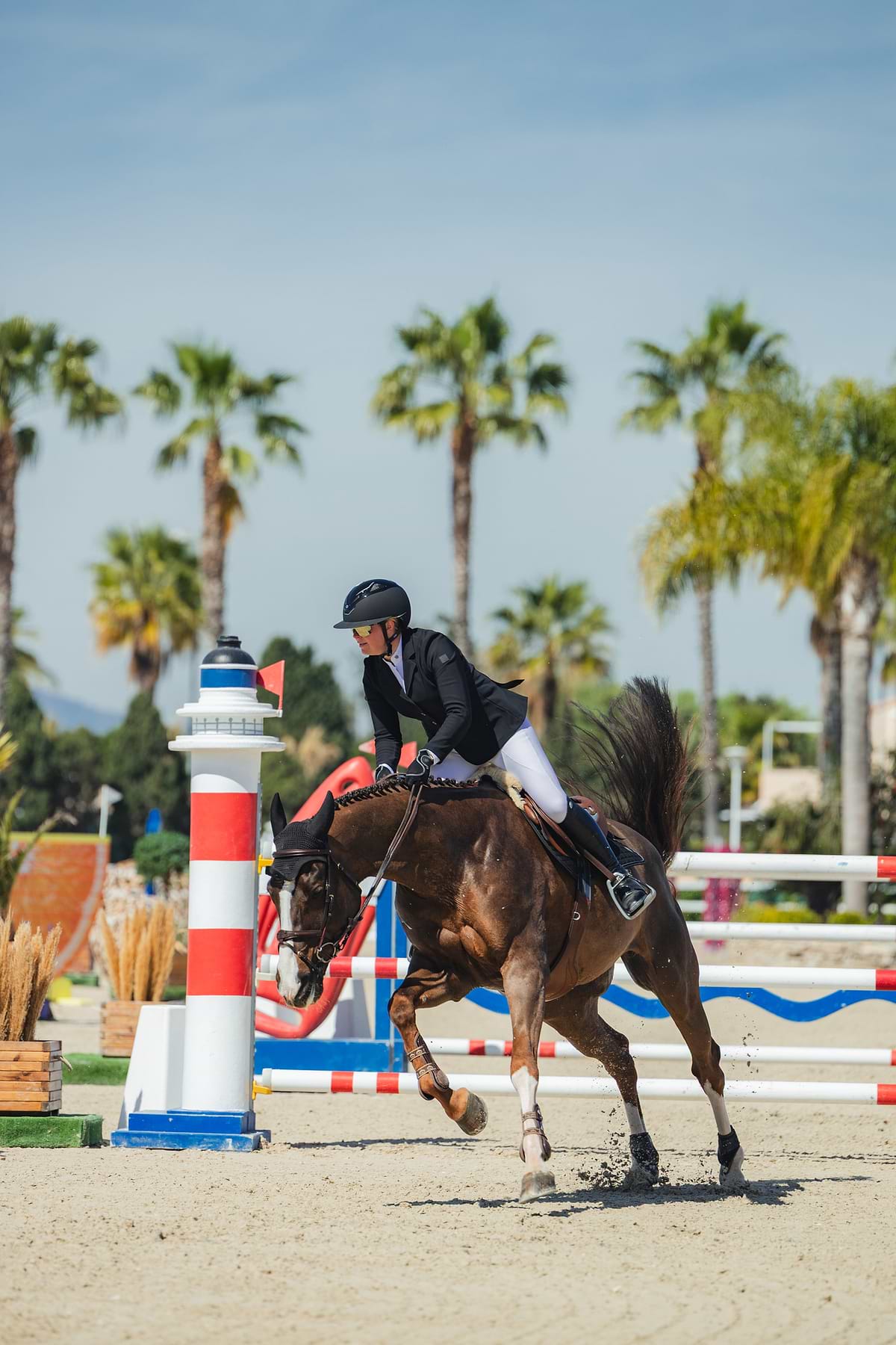 How to Remember the Jumping Course – Tips from a Pro | Maya Delorez