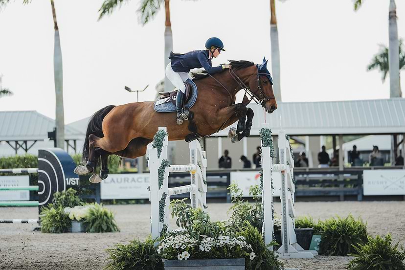 Show Jumping Distances | Ultimate Guide | Maya Delorez