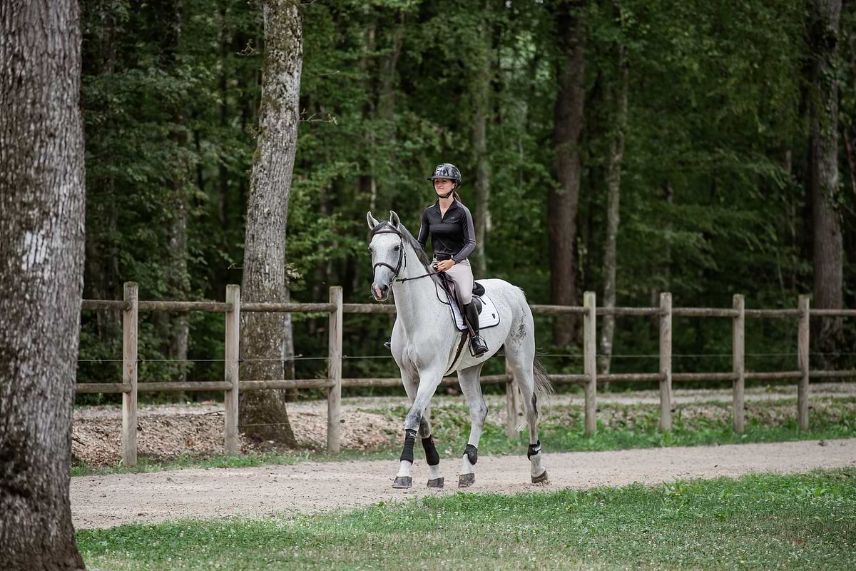 INTERVIEW: MATT HARNACKE (NEW) Get to know the Rider, Model and ...