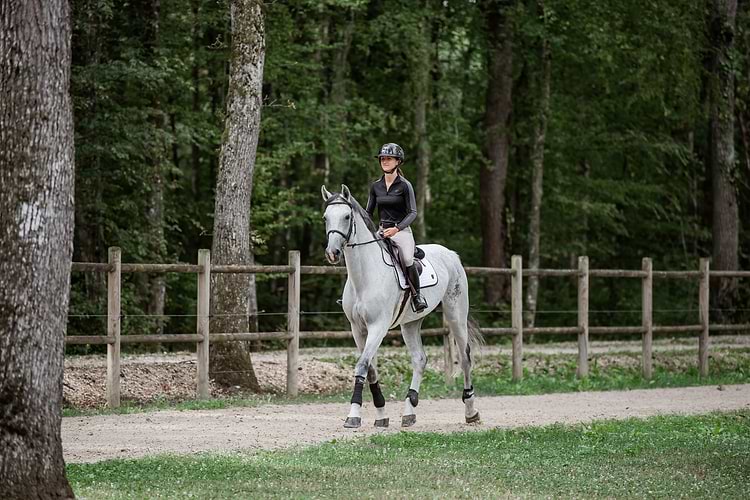 Show Jumping Distances | Ultimate Guide | Maya Delorez