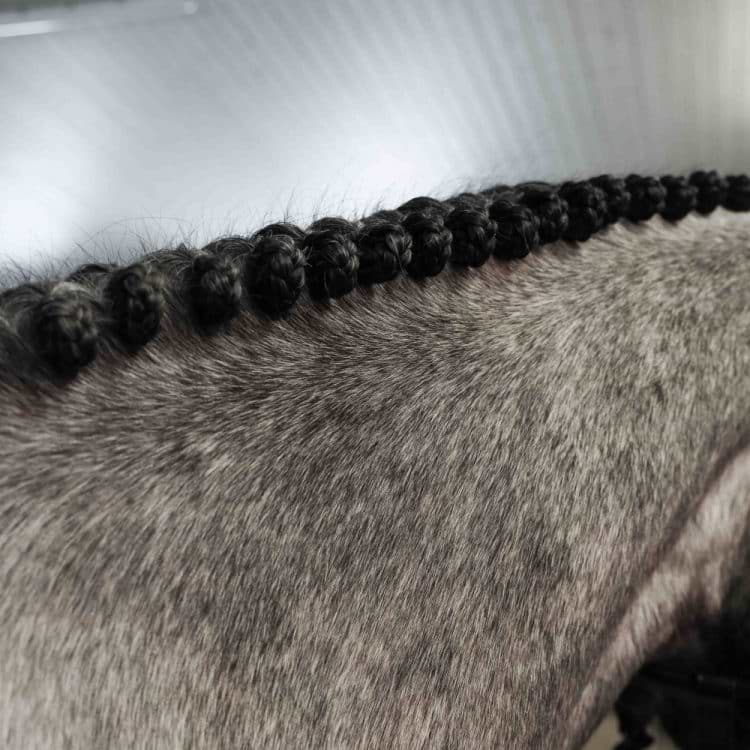 Guide: How to Braid Your Horse's Mane | Maya Delorez
