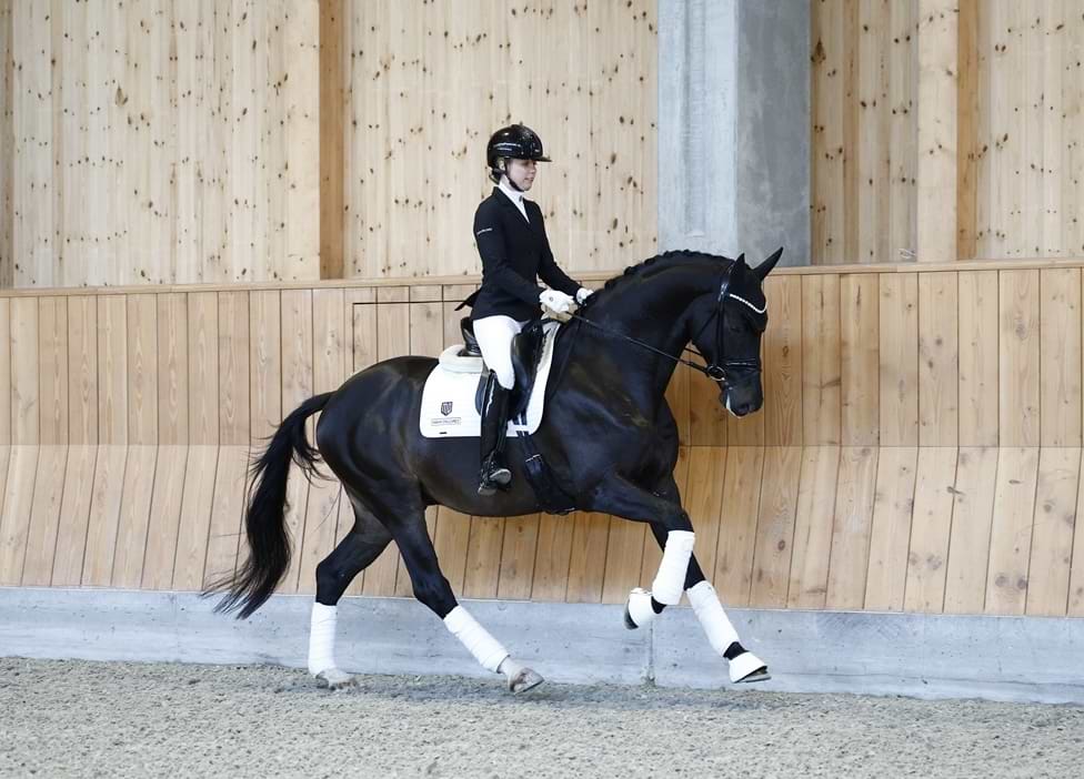 Selina Solberg Vittinghus – Norwegian Dressage Rider | Maya Delorez