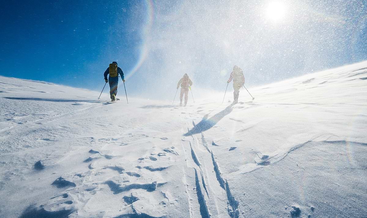 A Skin Track Meditation | Stories | Interstellar
