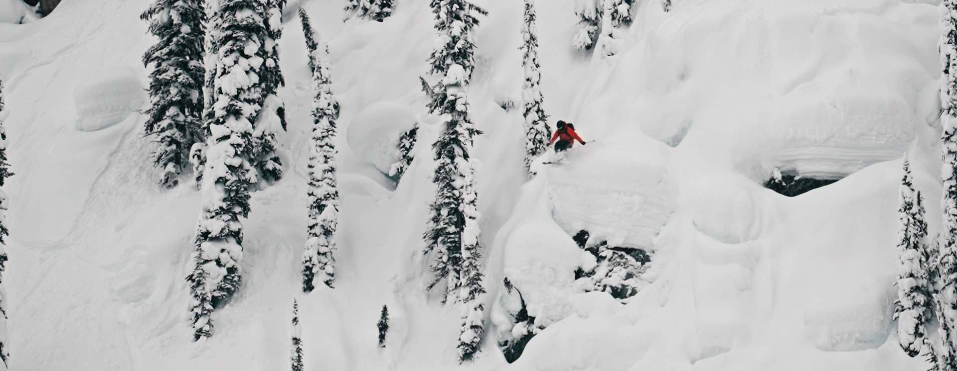 The New Free System™ | Stellar Equipment