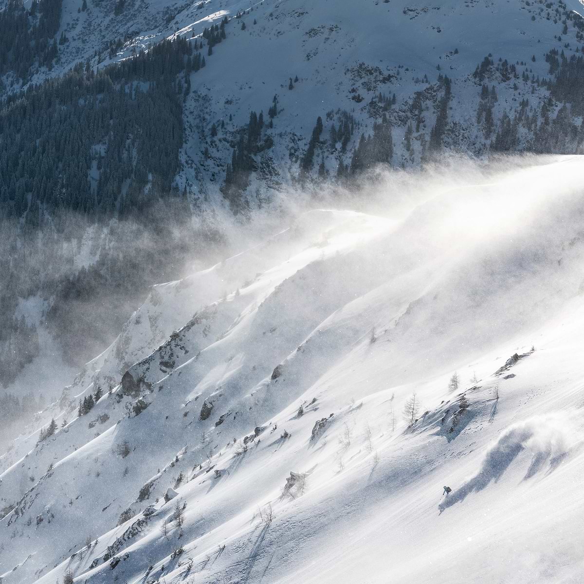 Women's Stellar Shell Down Jacket BluBlack | Stellar Equipment