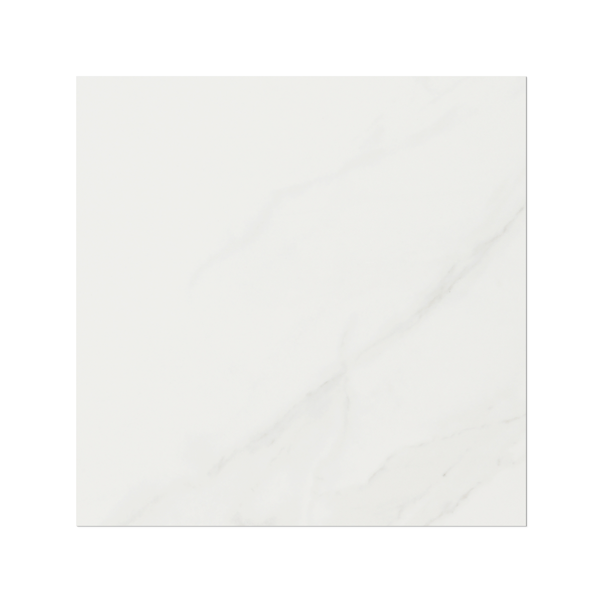 Calacatta Gold 36x36 Polished Porcelain Tile in iTileMosaic