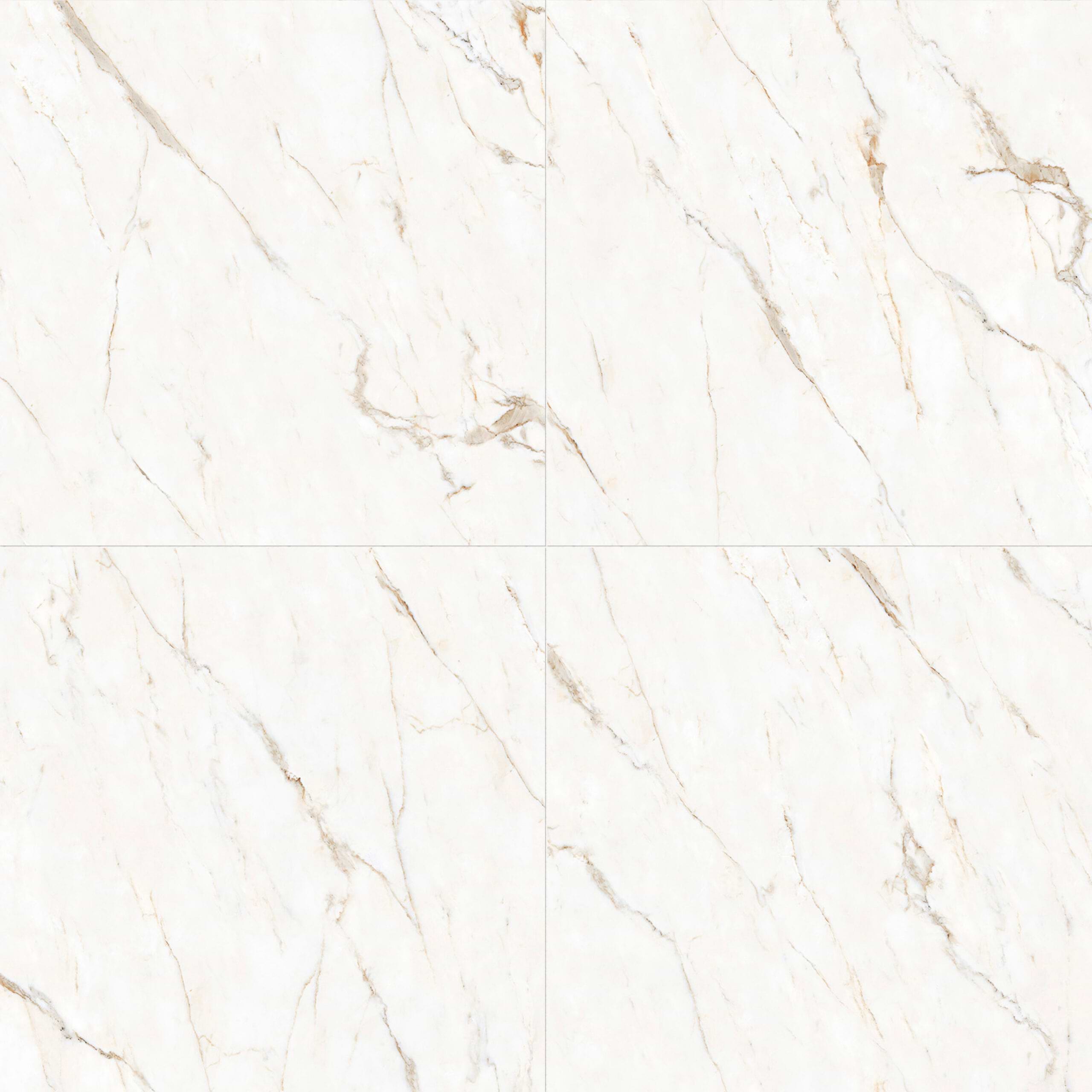 Calacatta Oro 48x48 Matte Porcelain Tile | iTileMosaic