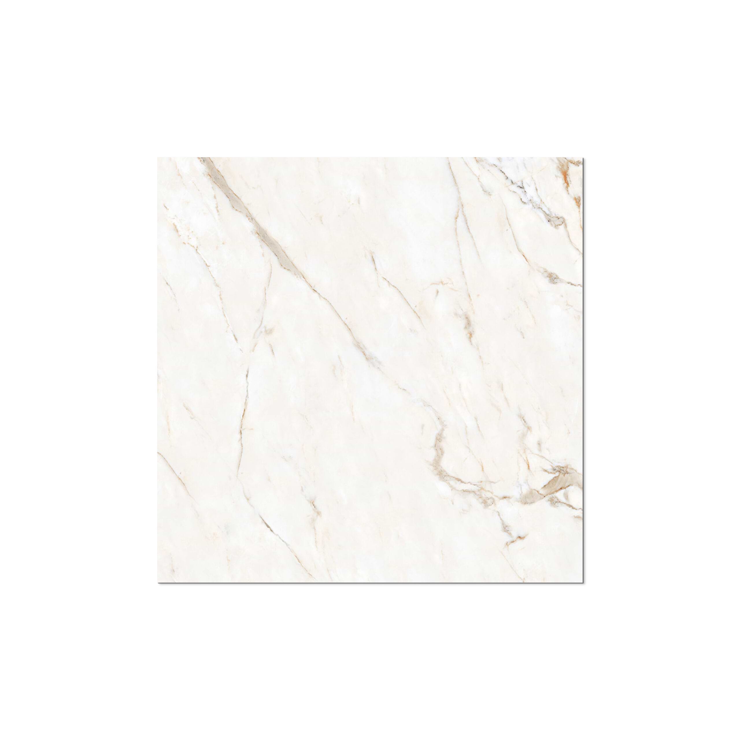 Calacatta Oro 48x48 Matte Porcelain Tile | iTileMosaic