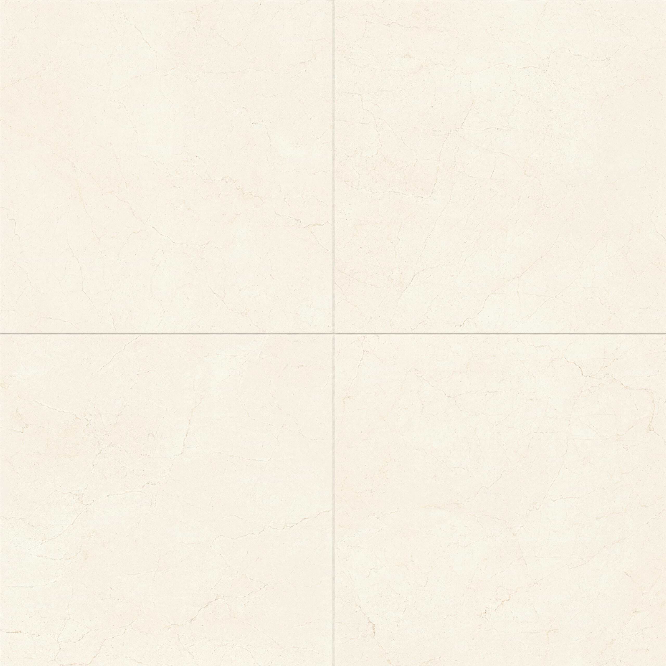 Curva Bari Marfil 48X48 Polished Porcelain Tile | iTileMosaic
