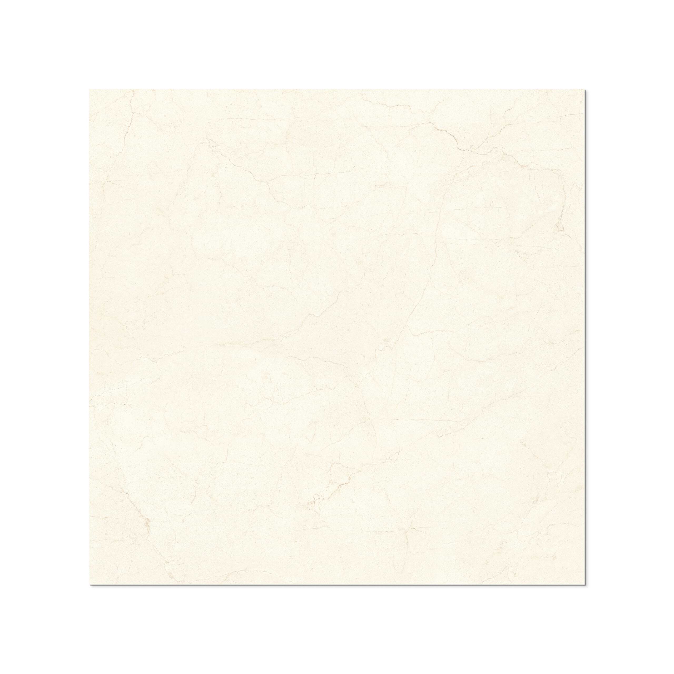 Curva Bari Marfil 48X48 Polished Porcelain Tile | iTileMosaic