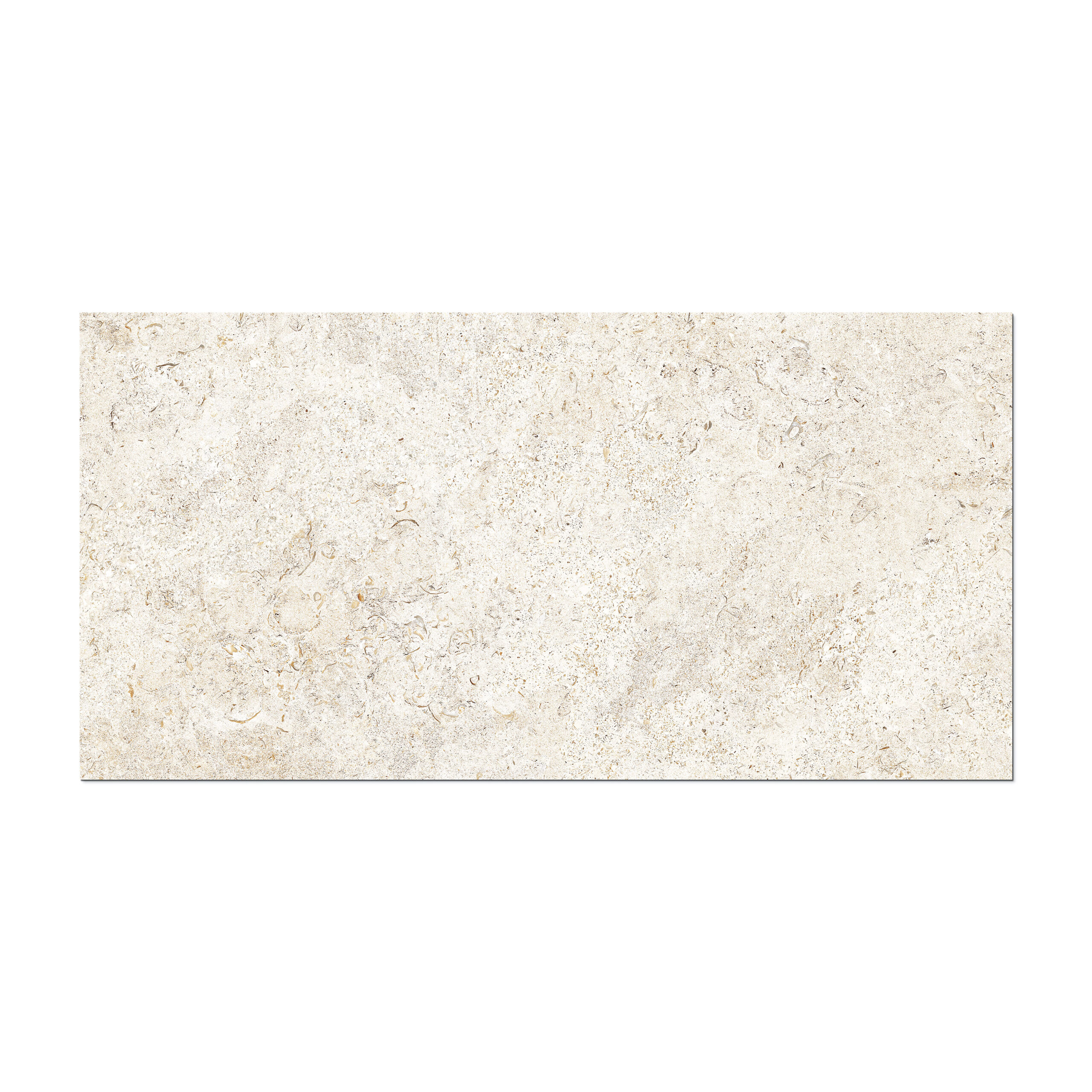 Shellstone Off-White 24X48 Matte Porcelain Tile in iTileMosaic