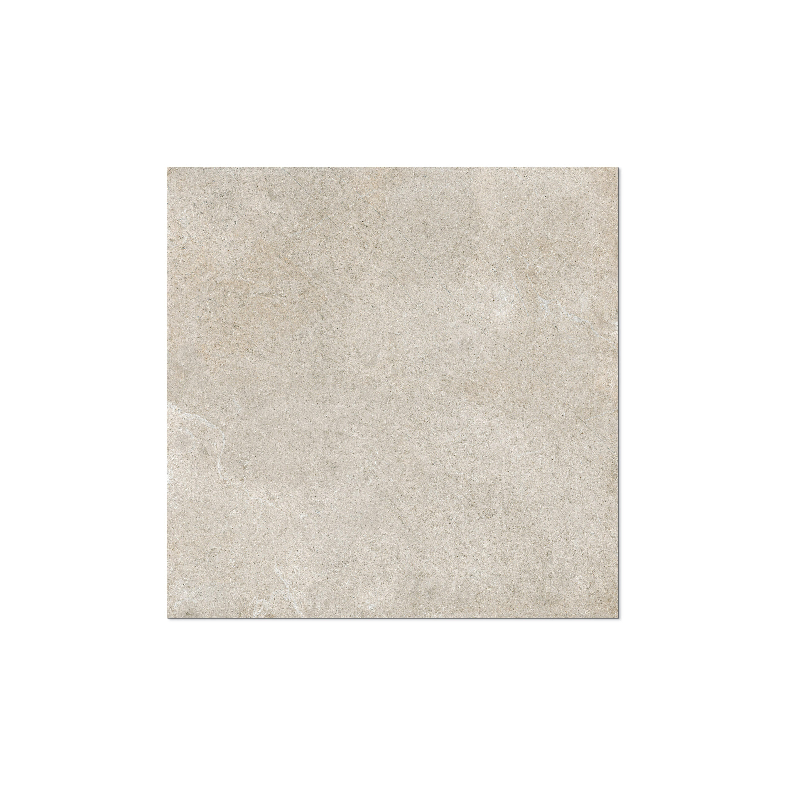 Struttura Shell 48x48 Matte Porcelain Tile available in iTileMosaic